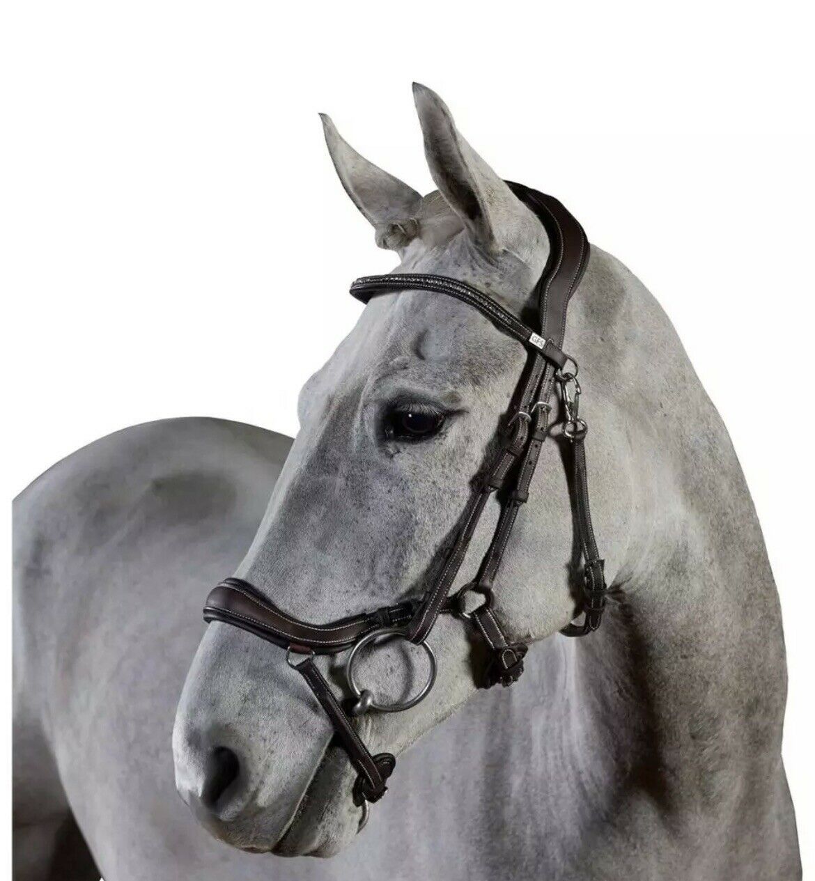 Testiera anatomica per cavallo monta inglese in pelle superiore Testa ...